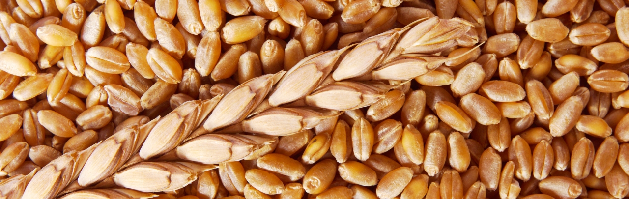 Dinkel bei Seitenbacher: Große Auswahl, keine Zusatzstoffe